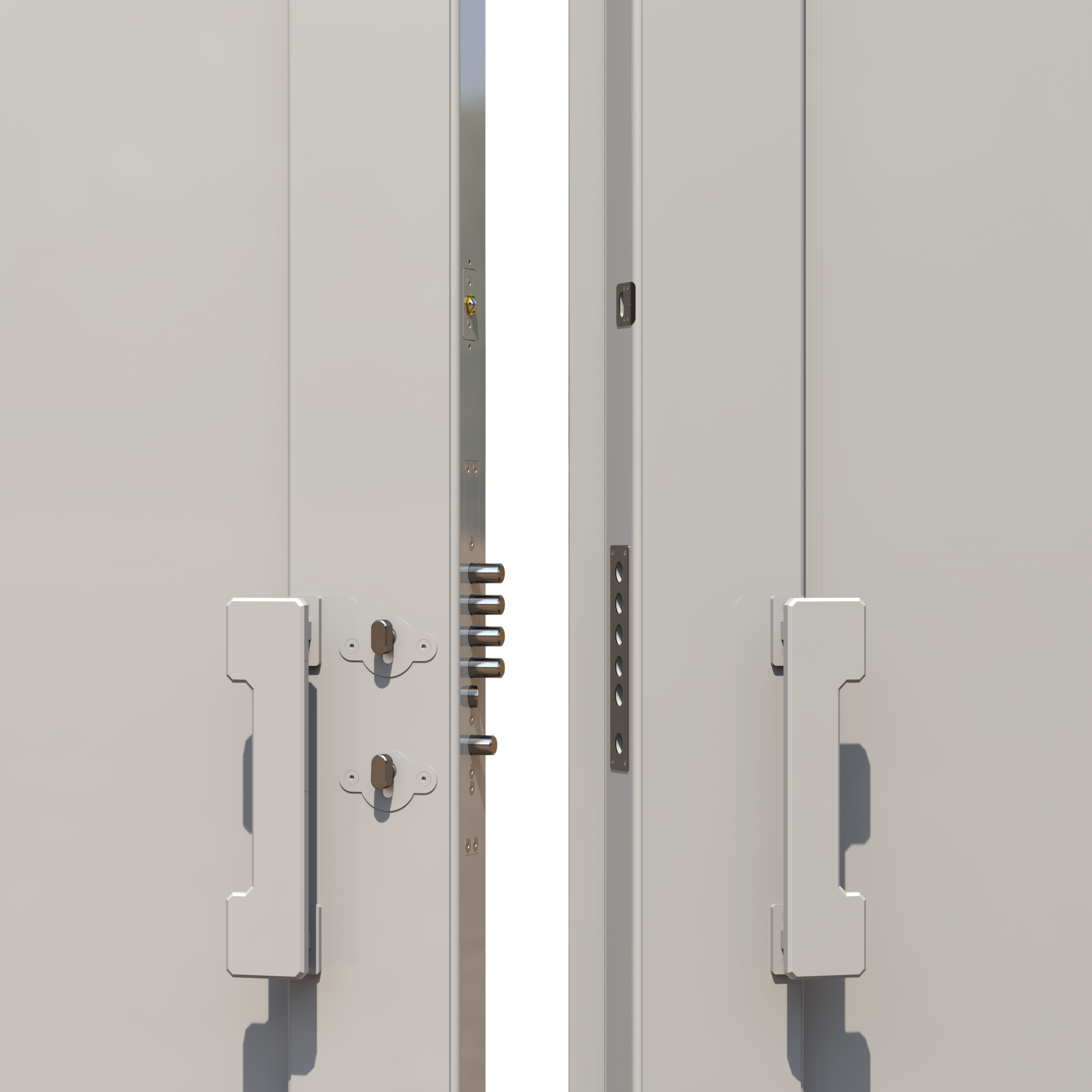 Custom Steel Armatura Double Security Doors - 10DayDoors.com